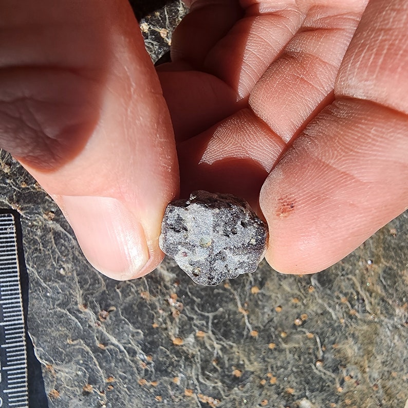 Staurolite Crystal - Fairy Cross / Zia Stone From Taos County, New ...