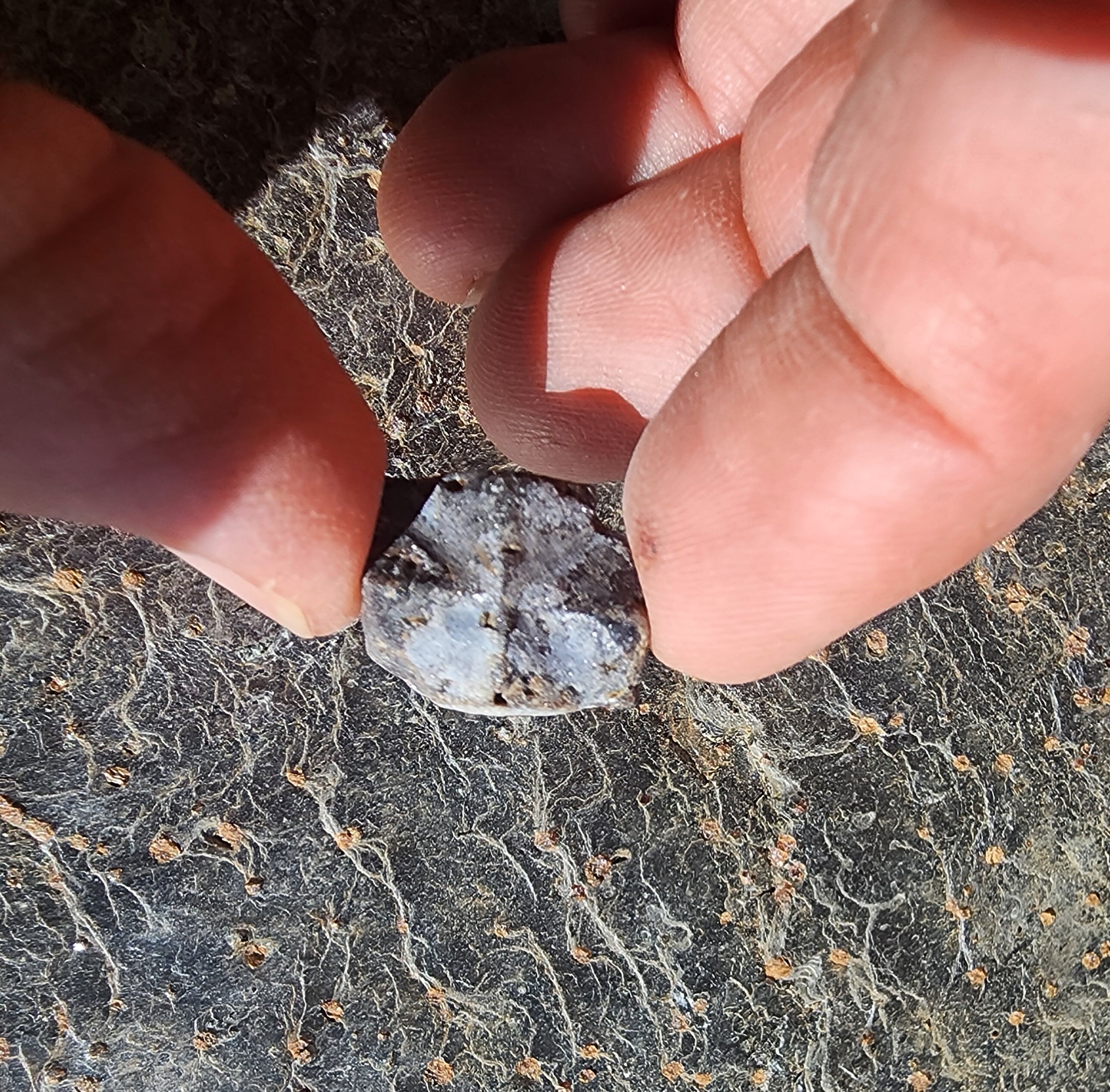 Staurolite Crystal - Fairy Cross / Zia Stone From Taos County, New ...