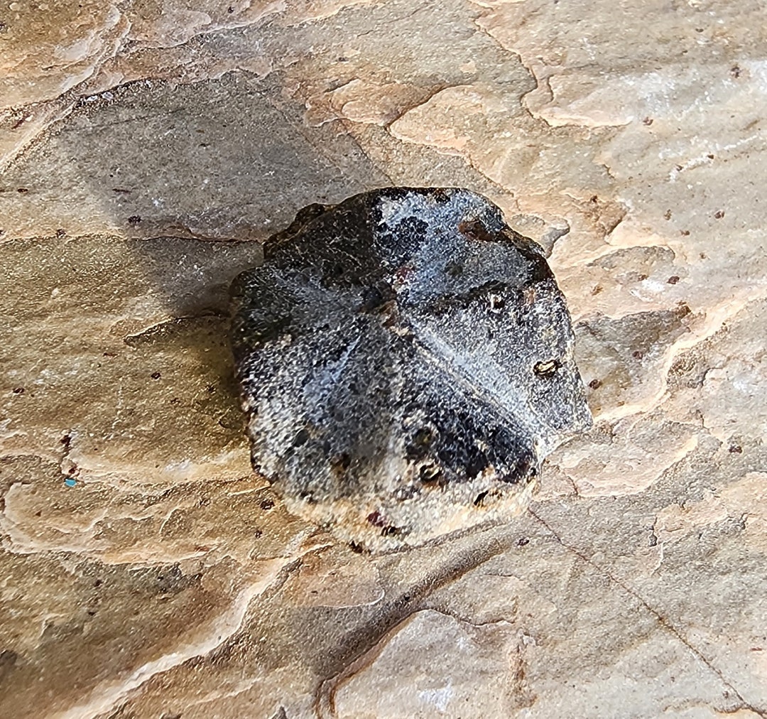 Staurolite Crystal Fairy Cross / Zia Stone From Taos County, New Mexico ...