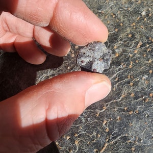 Staurolite Crystal - Fairy Cross / Zia Stone From Taos County, New ...