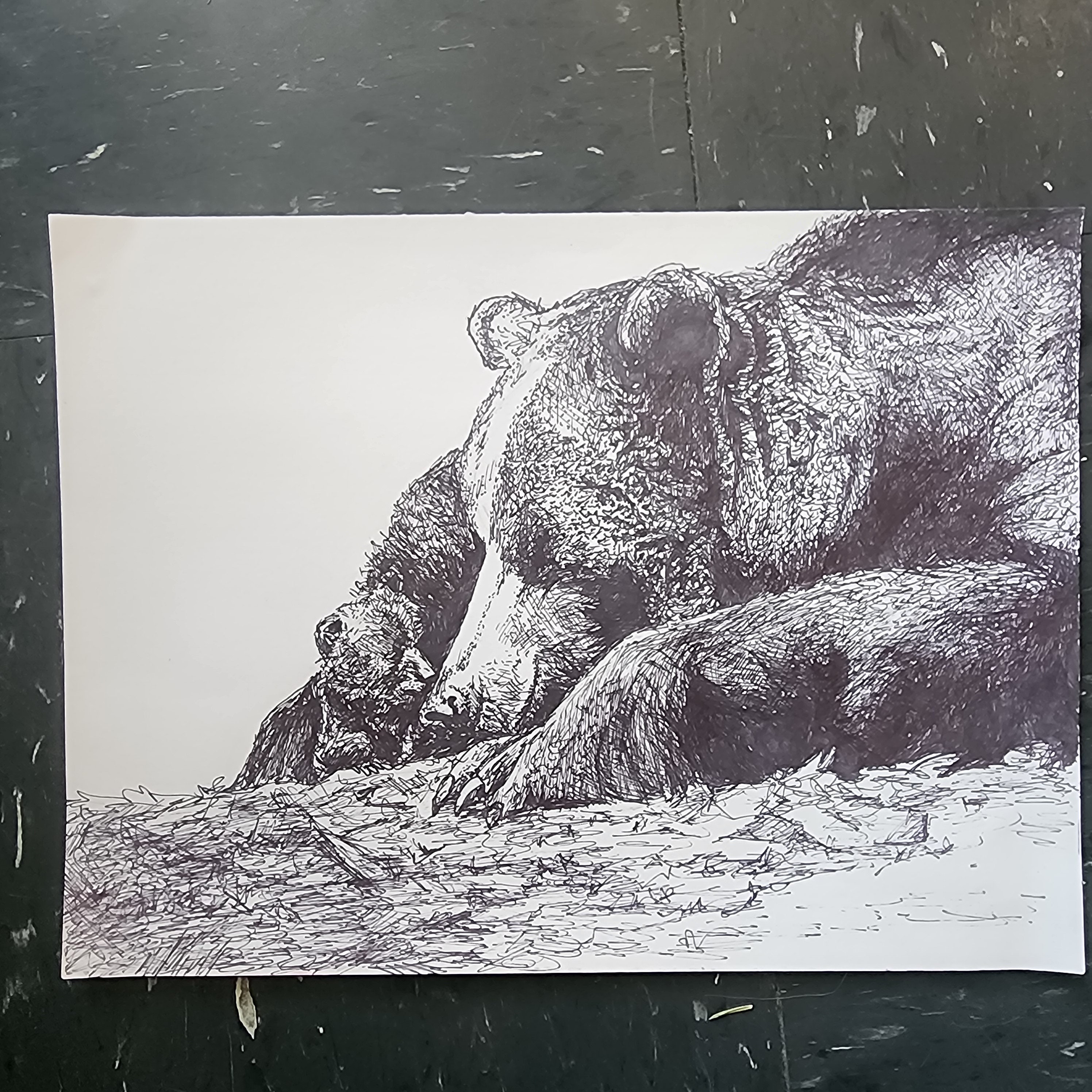 PRINT Mama Bear and Cub Ink Drawing, Optional Single White Matte - Etsy