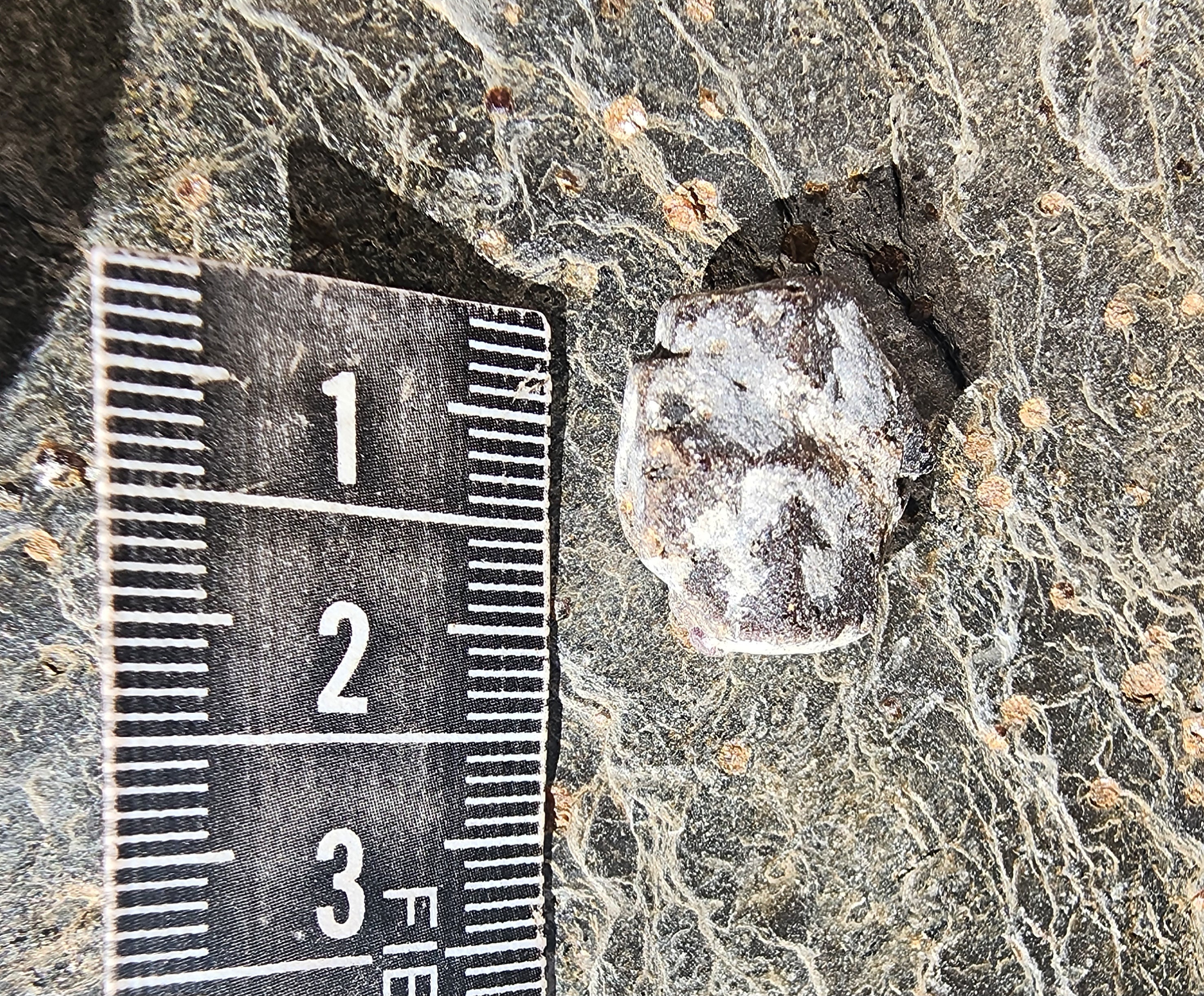 Staurolite Crystal - Fairy Cross / Zia Stone From Taos County, New ...
