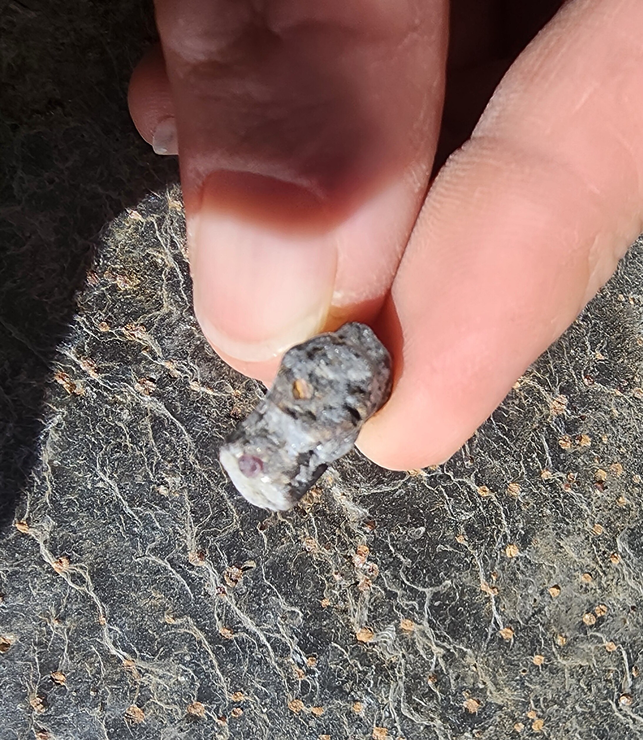 Staurolite Crystal - Fairy Cross / Zia Stone From Taos County, New ...