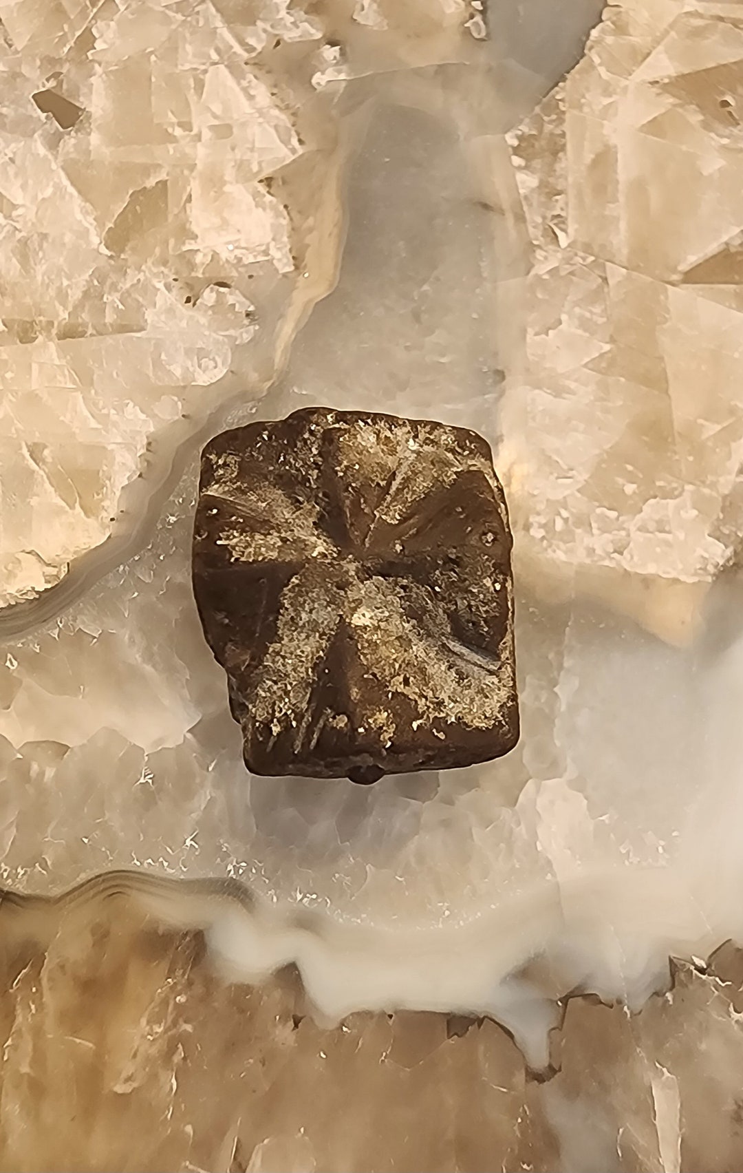 Staurolite Crystal - Fairy Cross / Zia Stone From Taos County, New ...
