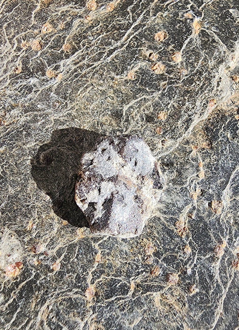 Staurolite Crystal - Fairy Cross / Zia Stone From Taos County, New ...