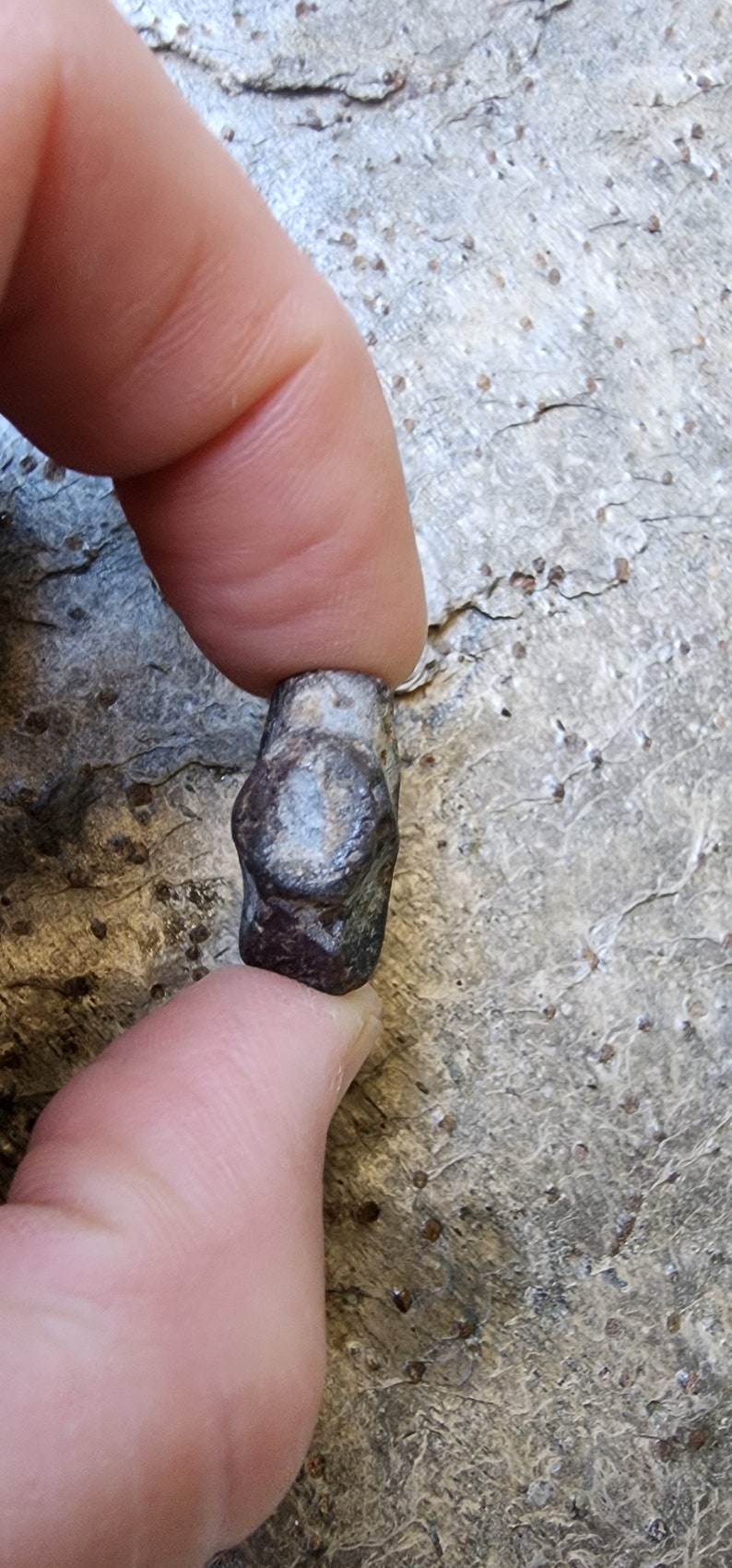 Staurolite Crystal - Fairy Cross / Zia Cross From Taos County, New ...
