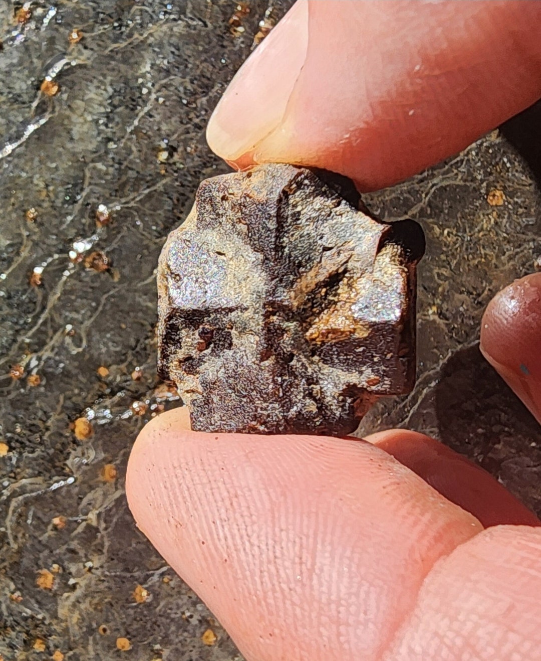 Staurolite Crystal Fairy Cross / Zia Stone From Taos County, New Mexico ...