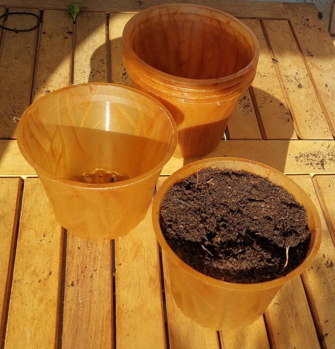 Growing Pots Made of Hemp Fiber Composite 12 Cm - Etsy