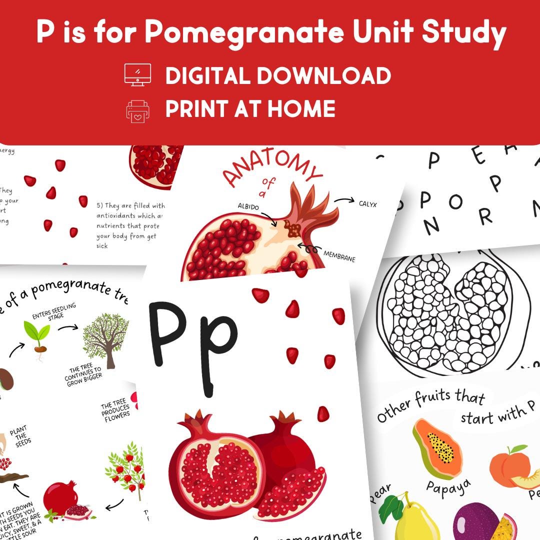 P is for Pomegranate Unit Study | Homeschool | Preschool Letters ...