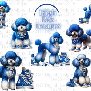 7 PNG Blue & White Poodles | Animal Clipart Bundle | Poodle PNG ...