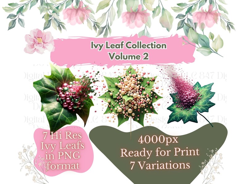 7 Pink and Green Ivy Leafs - Volume 2 | Clipart Transparent PNG Bundle ...
