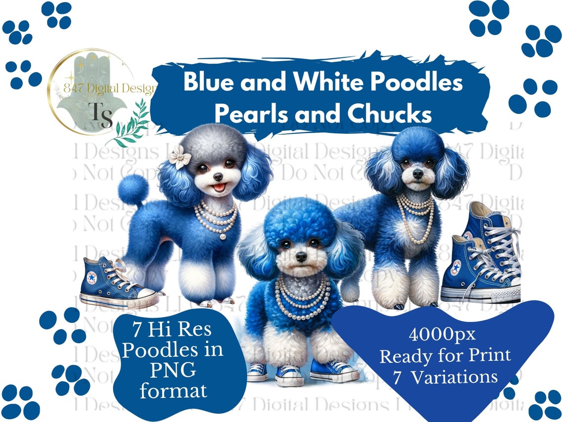 7 PNG Blue & White Poodles | Animal Clipart Bundle | Poodle PNG ...