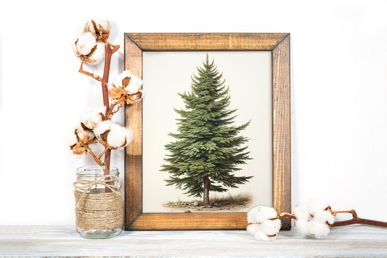 Spruce Tree Printable, Nature Wall Art, Tall Spruce Tree Printable Art ...
