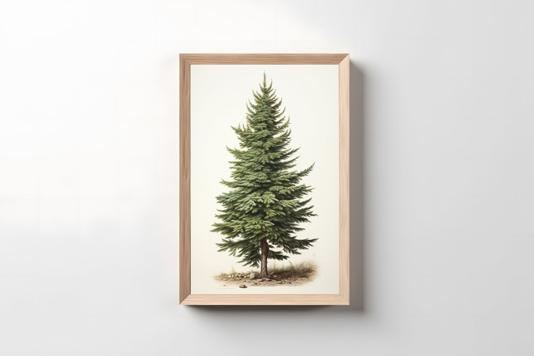Spruce Tree Painting, Nature Wall Art, Monochrome Tall Spruce Tree Art ...