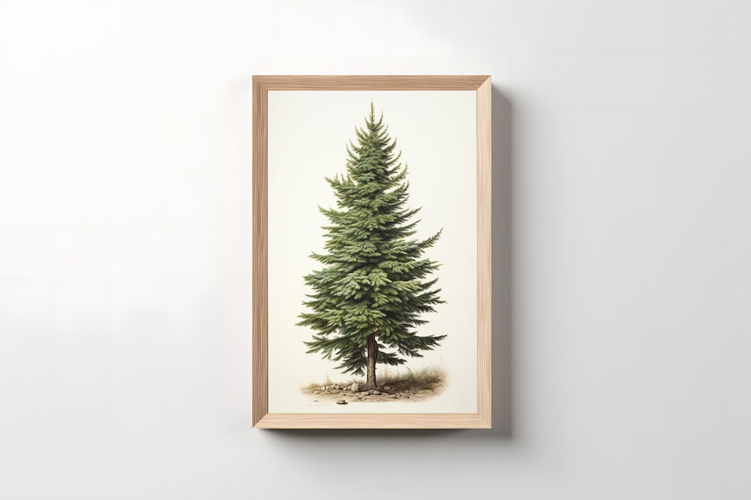 Spruce Tree Printable, Nature Wall Art, Tall Spruce Tree Printable Art ...