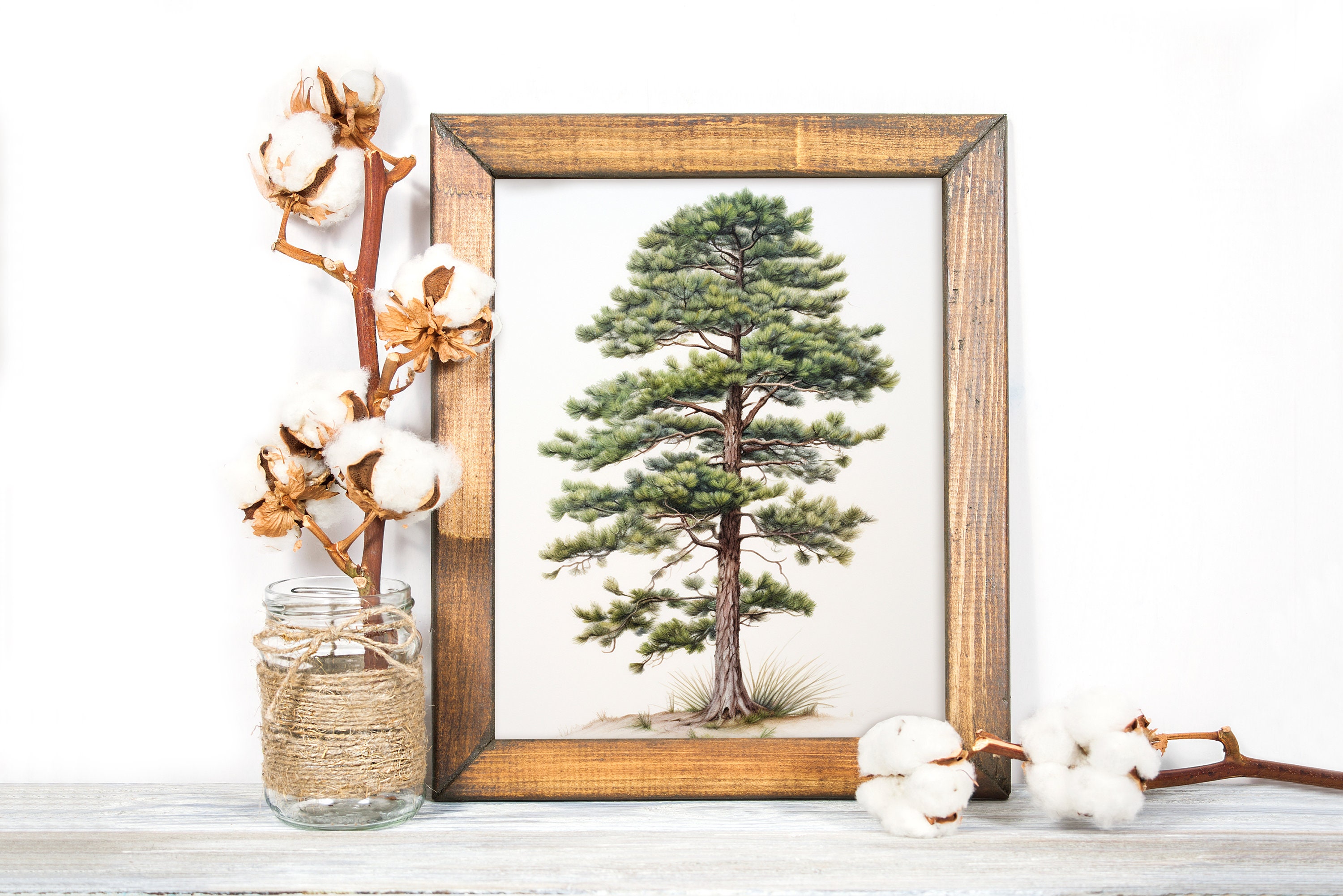 Pine Tree Printable, Nature Wall Art, Tall Pine Tree Printable Art, Realistic Pine Tree Print ...