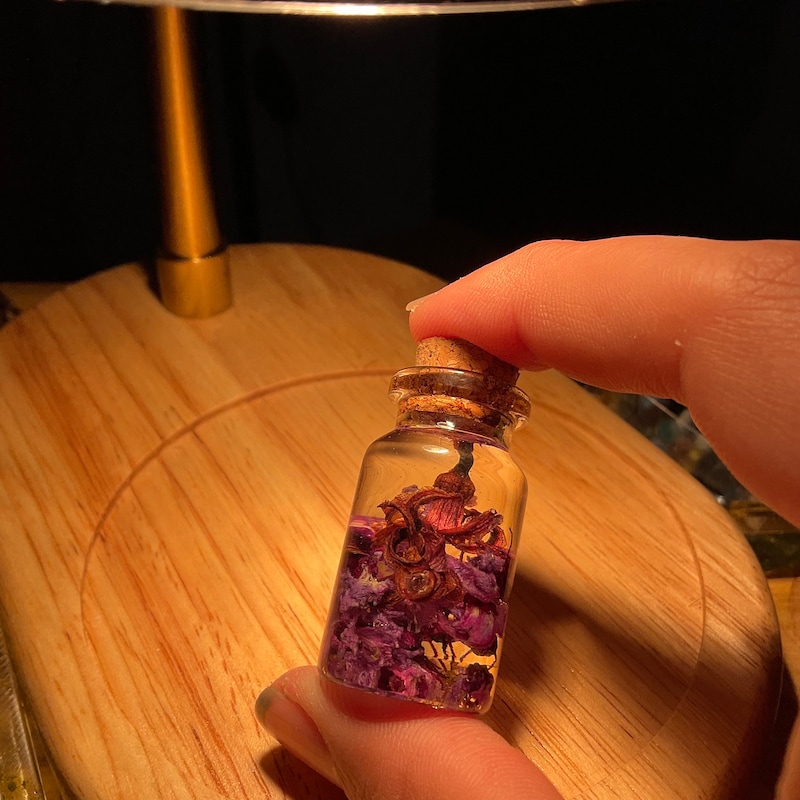 Biosphere - Etsy