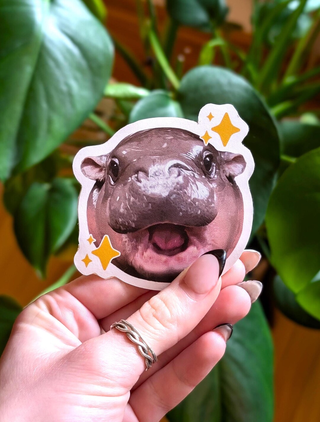 Moo Deng Happy Hippo Vinyl Sticker, Laptop Decal - Etsy