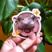 Moo Deng Stickers - Etsy