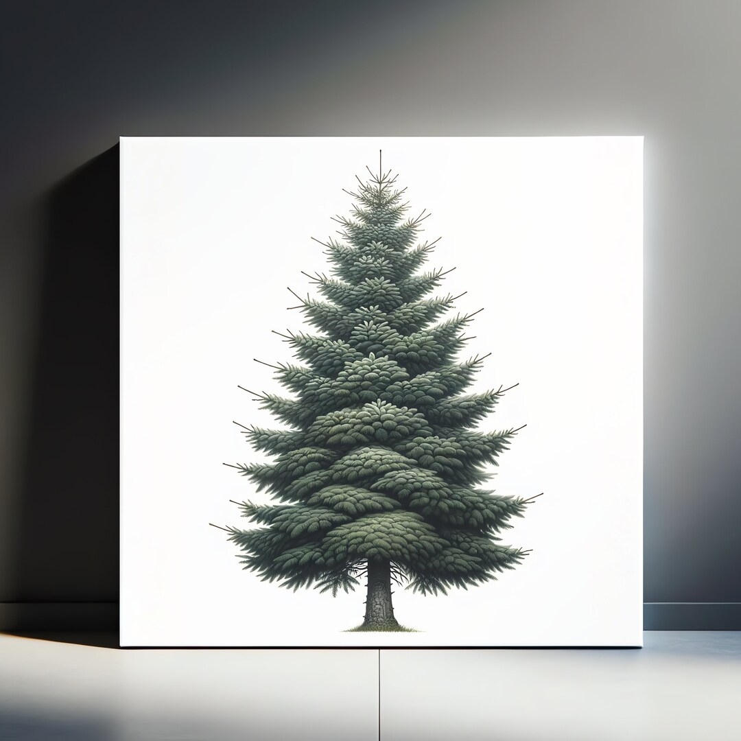 Verdant Balsam Fir Treear Tprint Classic Christmastree Canvas Festive ...