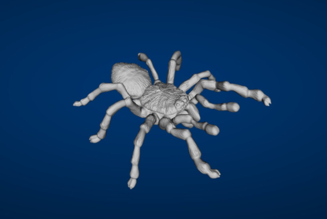 Tarantula 3D Print Miniature Painted or Unpainted 1/3 - Etsy