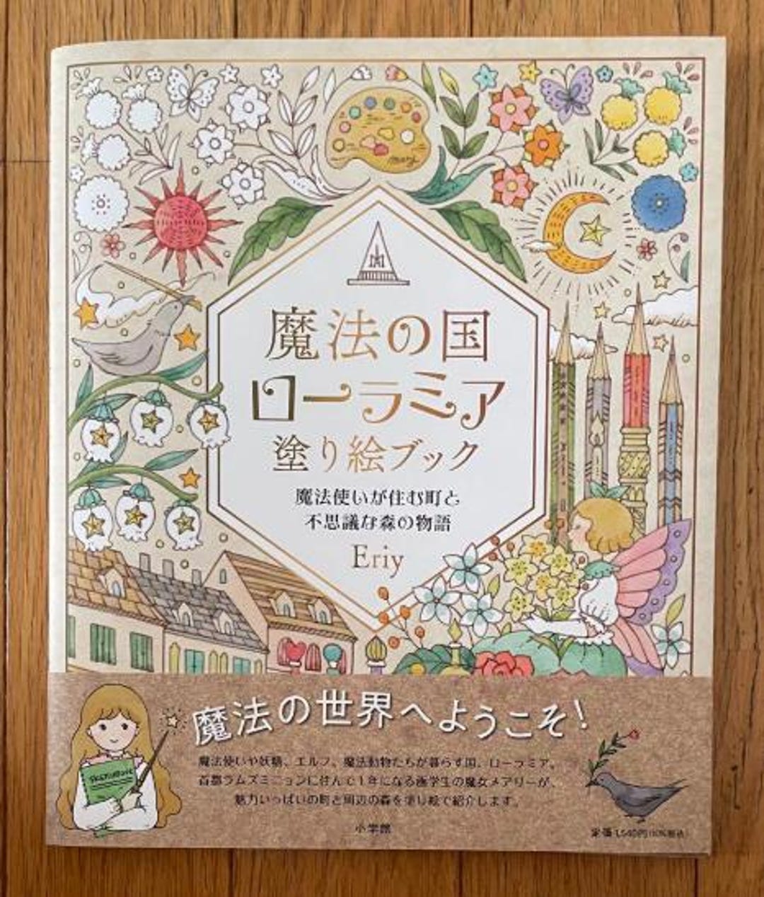Eriy Magical Land of Laura Mia Coloring Book: A Tale of a Town Where ...