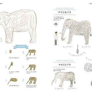 Miyata Chika's Drawing Zoo New Edition Japanese Craft Book - Etsy