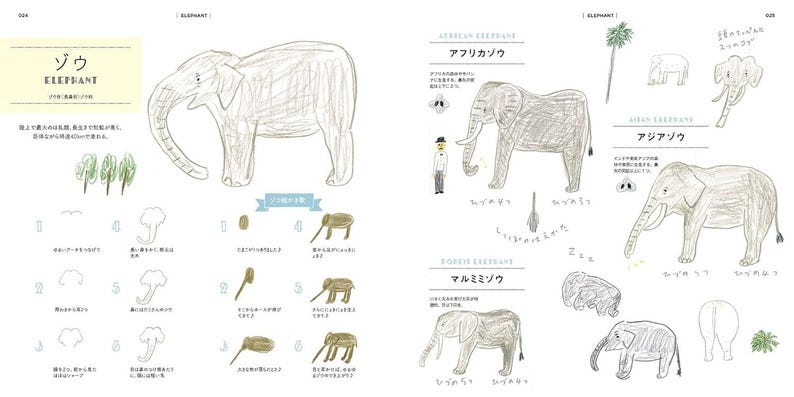 Miyata Chika's Drawing Zoo New Edition Japanese Craft Book - Etsy