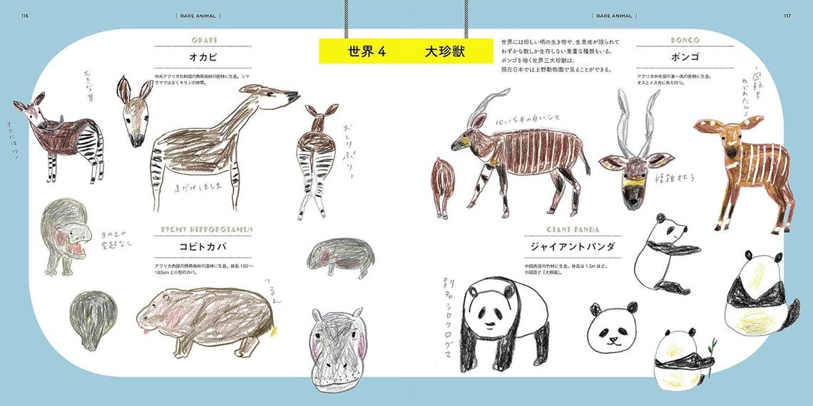 Miyata Chika's Drawing Zoo New Edition Japanese Craft Book - Etsy