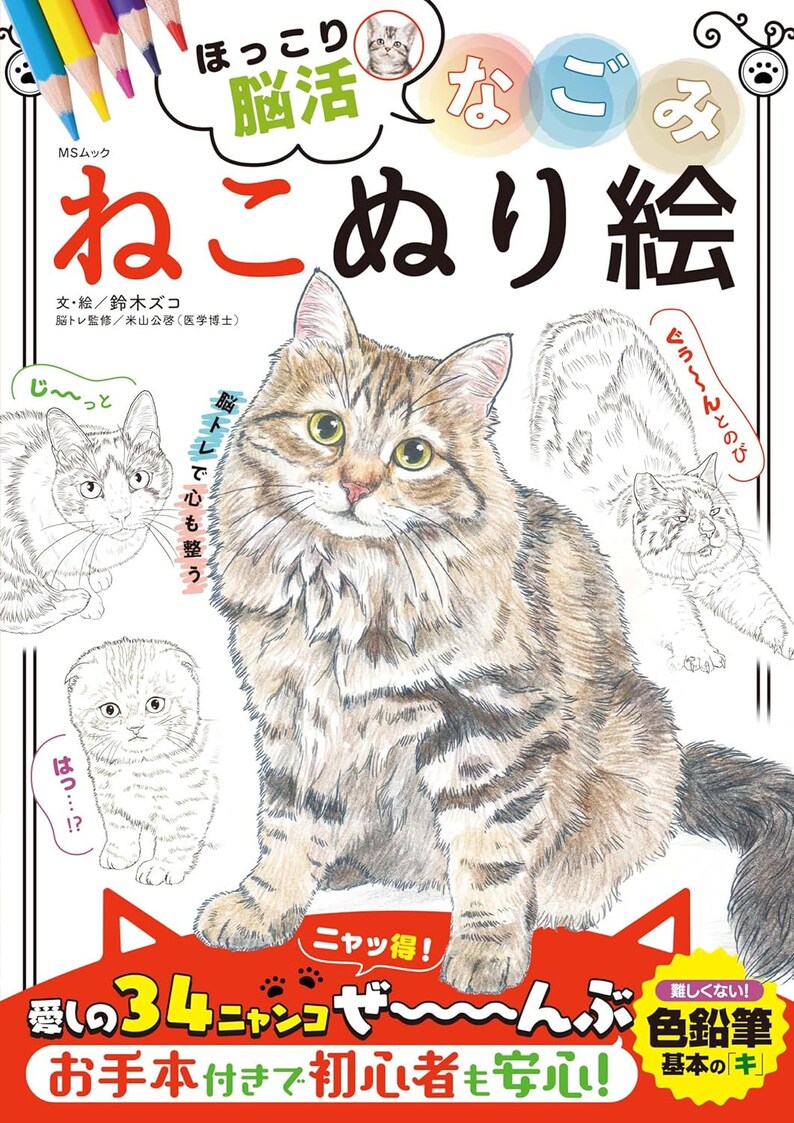 Nagomi Cat Coloring Book Japanese Craft Books - Etsy