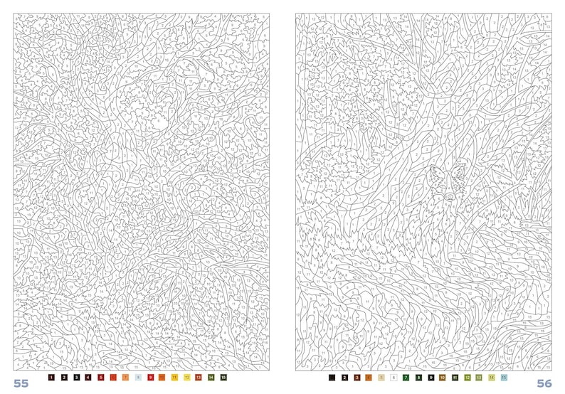 100 Puzzle Coloring Book 8 Forest Spring, Summer, Autumn, Winter ...