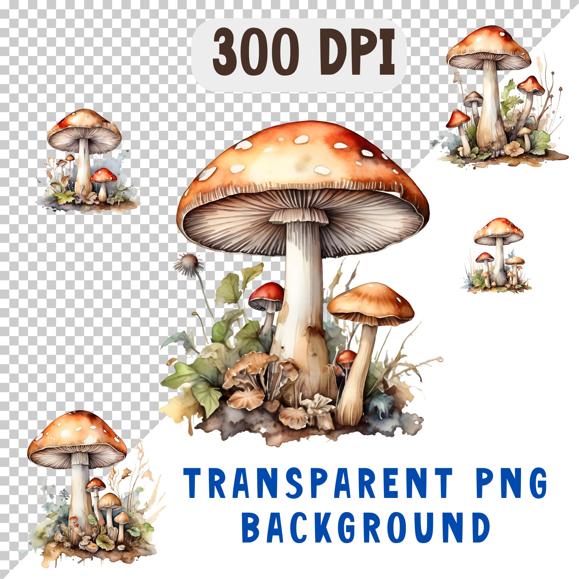 24 Watercolor Mushrooms Clipart, Bundle, Mushroom Sublimation Design ...