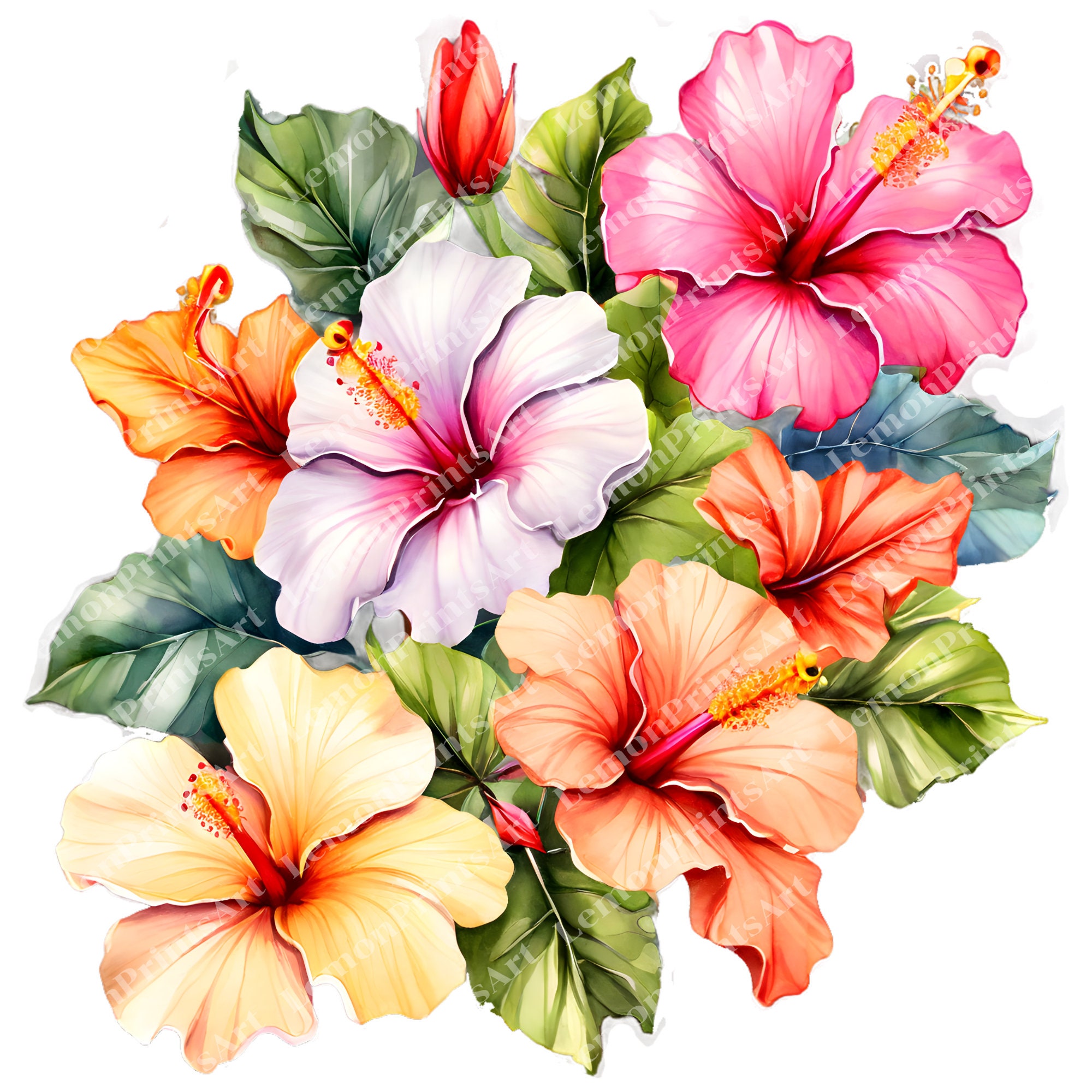 21 Hibiscus Tropical Flower Clipart, Watercolor Summer Flowers, High ...