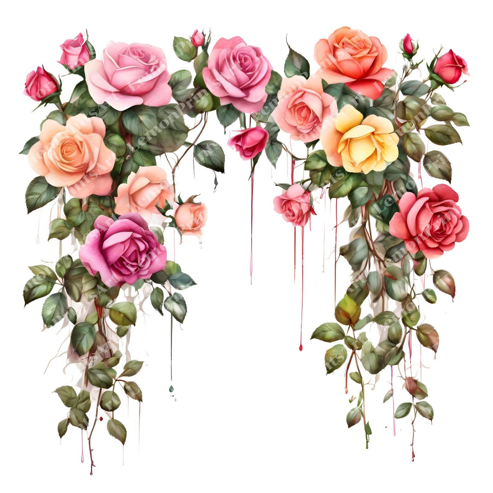 30 Climbing Roses Flowers Mix Clipart, Climbing Rose Gothic, High ...