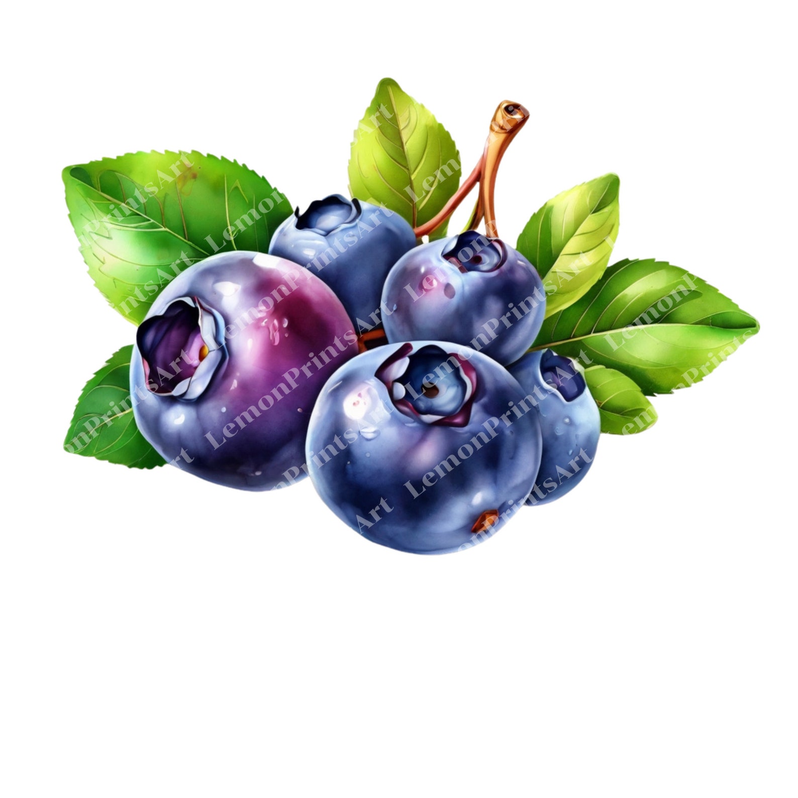 40 Berries Watercolor Clipart, Fresh Fruit Illustrations, Transparent ...