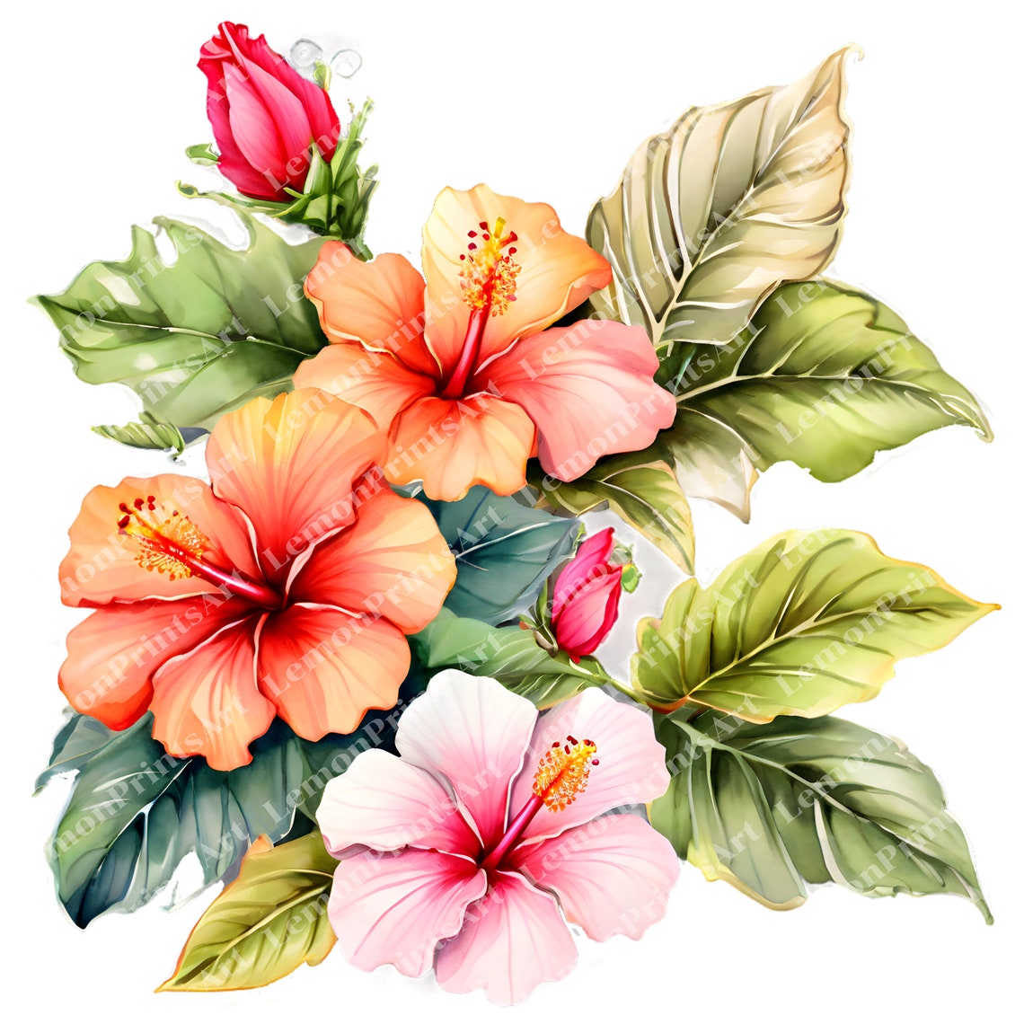 21 Hibiscus Tropical Flower Clipart, Watercolor Summer Flowers, High ...