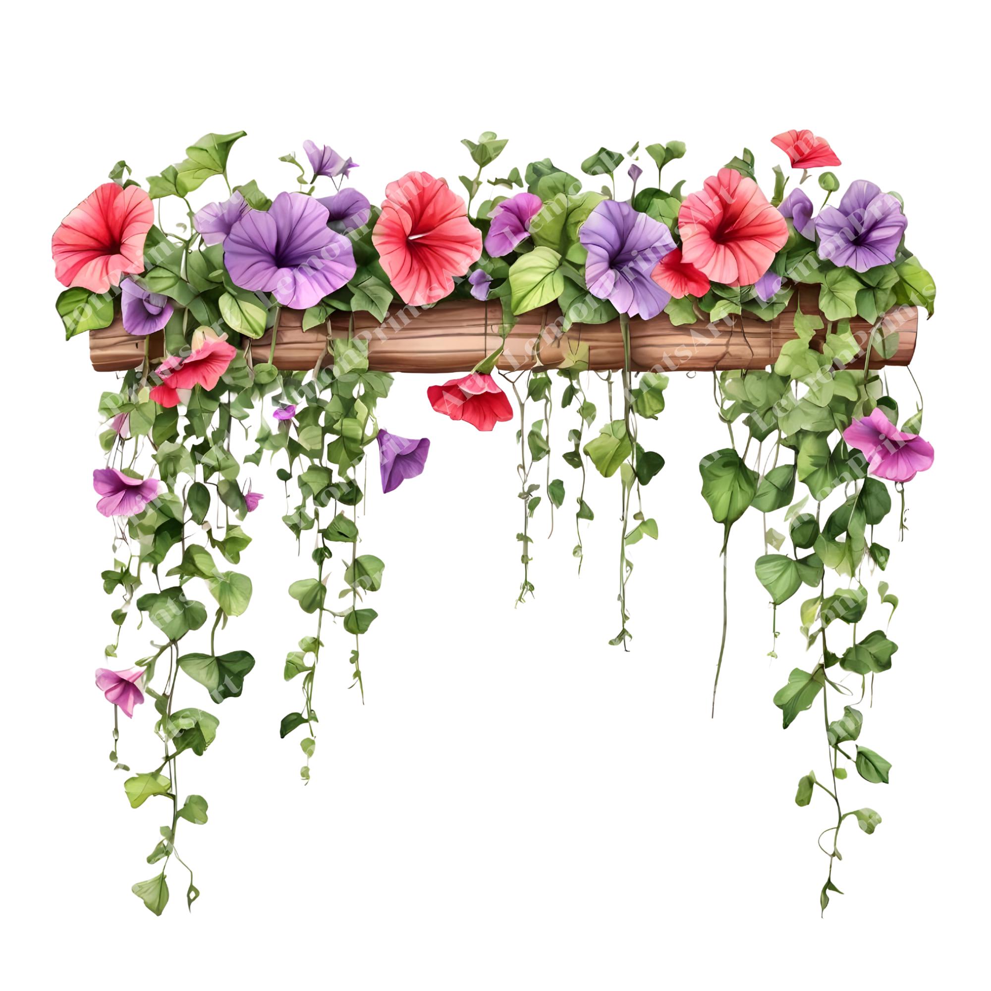 25 Petunia Flowers Clipart,blossom Illustrations, High Quality ...