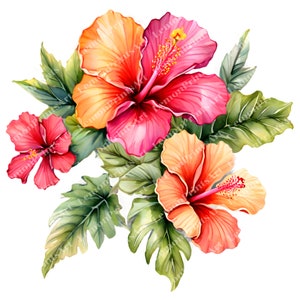 21 Hibiscus Tropical Flower Clipart, Watercolor Summer Flowers, High ...