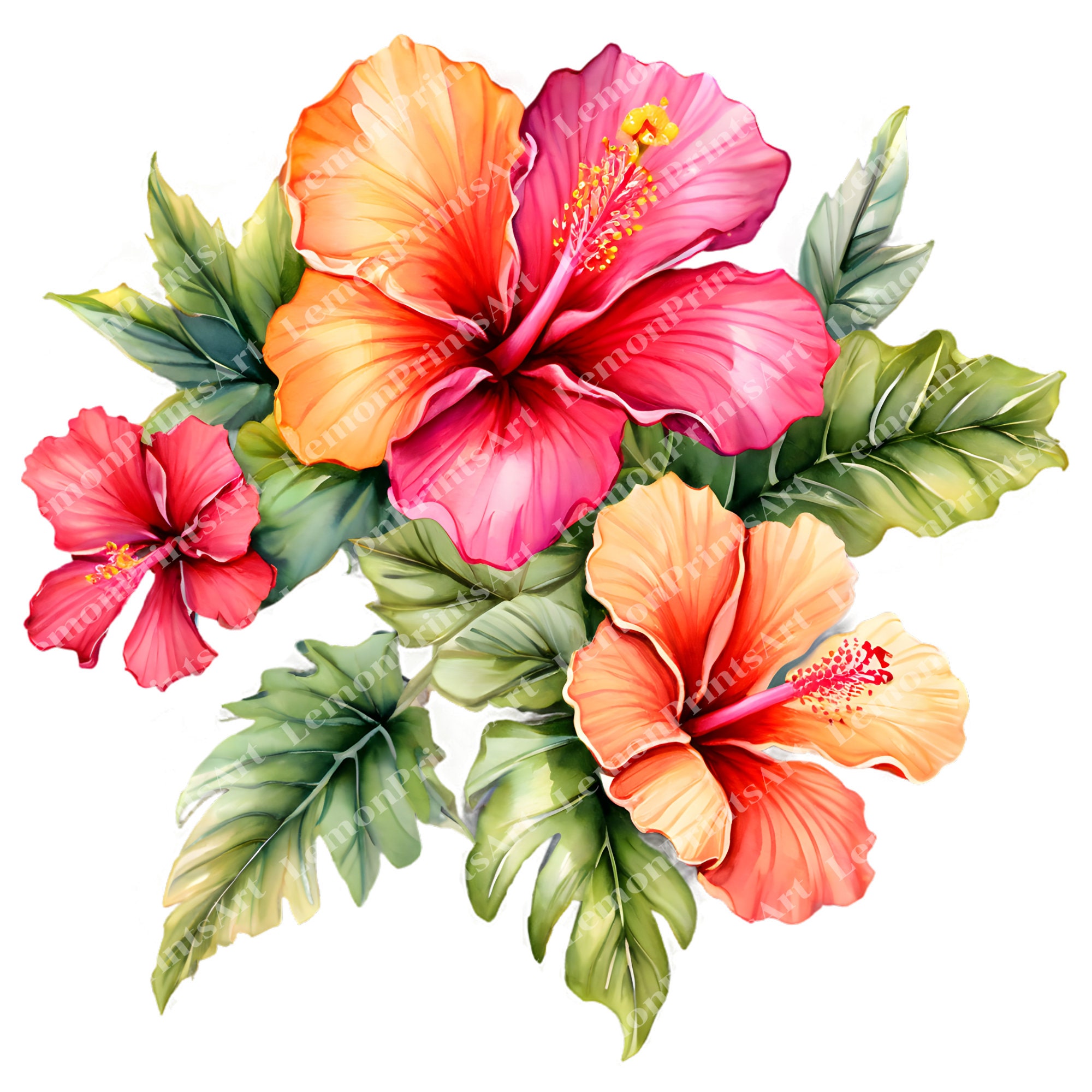 21 Hibiscus Tropical Flower Clipart, Watercolor Summer Flowers, High ...