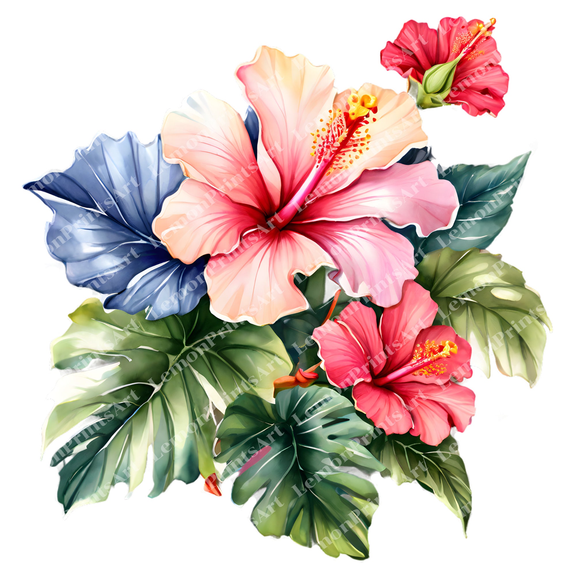 21 Hibiscus Tropical Flower Clipart, Watercolor Summer Flowers, High ...