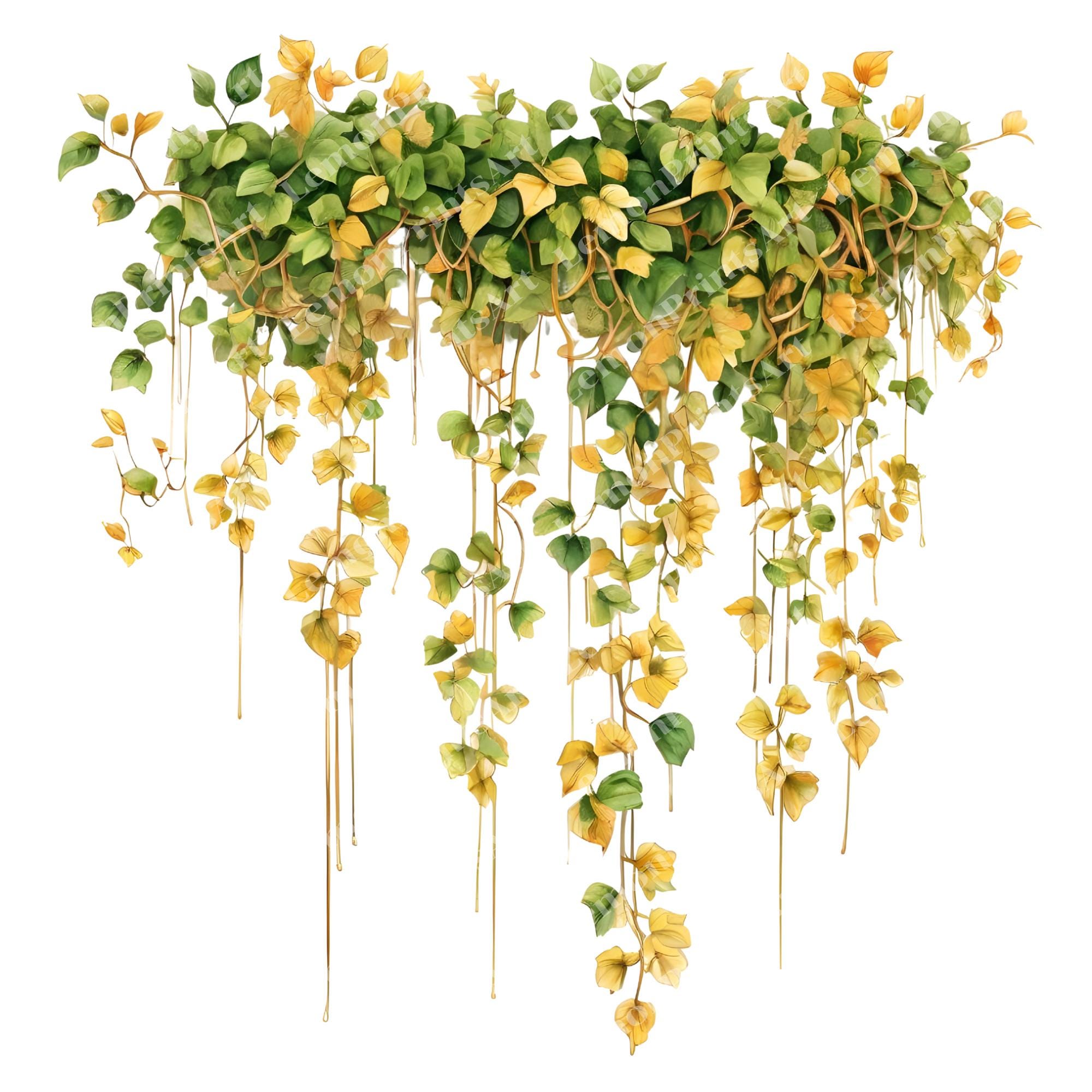 29 Golden Ivy Clipart, Watercolor Ivy, Wedding Art Floral, High Quality ...