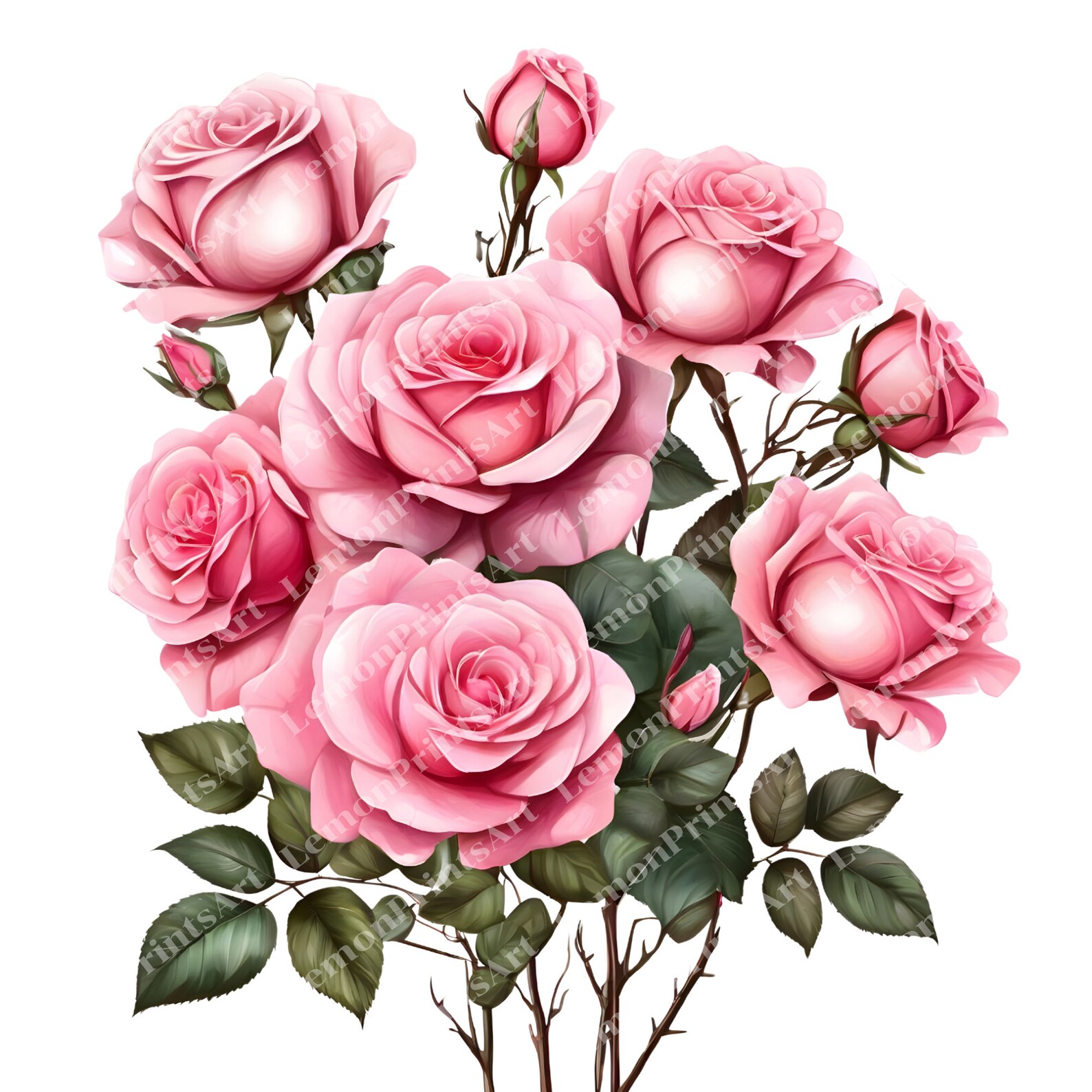 32 Pink Roses Clipart, Watercolor Roses Bouquet, High Quality ...