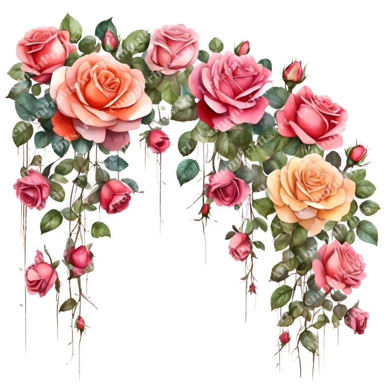 30 Climbing Roses Flowers Mix Clipart, Climbing Rose Gothic, High ...