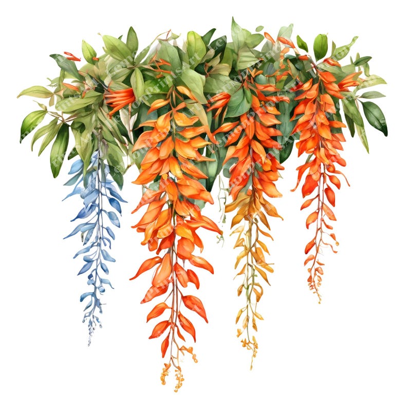 Watercolor Mexican Flame Vine Clipart: Fiesta Party PNG (digital ...