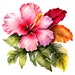 21 Hibiscus Tropical Flower Clipart, Watercolor Summer Flowers, High ...