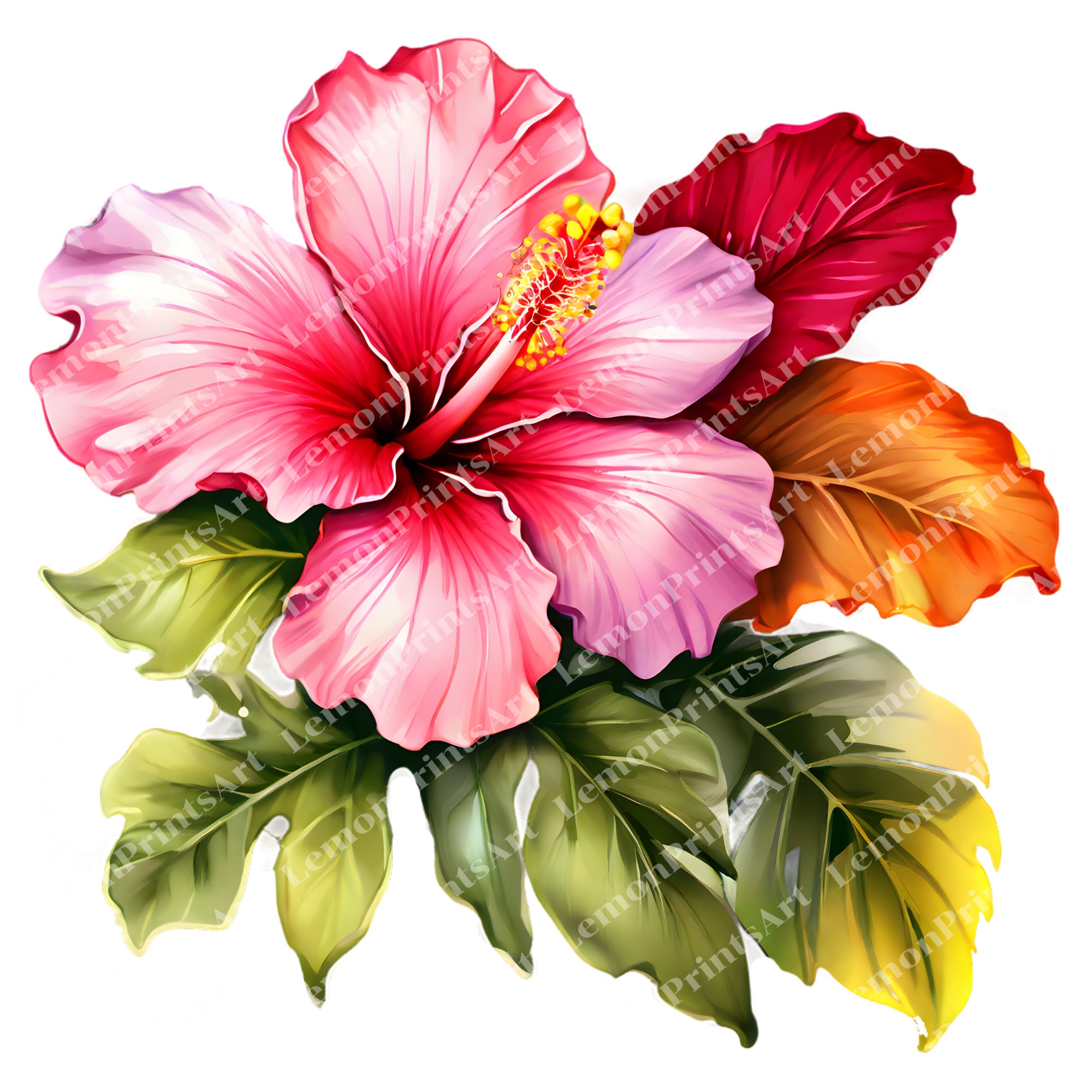 21 Hibiscus Tropical Flower Clipart, Watercolor Summer Flowers, High ...