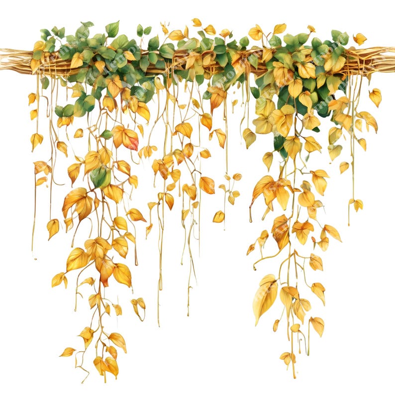29 Golden Ivy Clipart, Watercolor Ivy, Wedding Art Floral, High Quality ...
