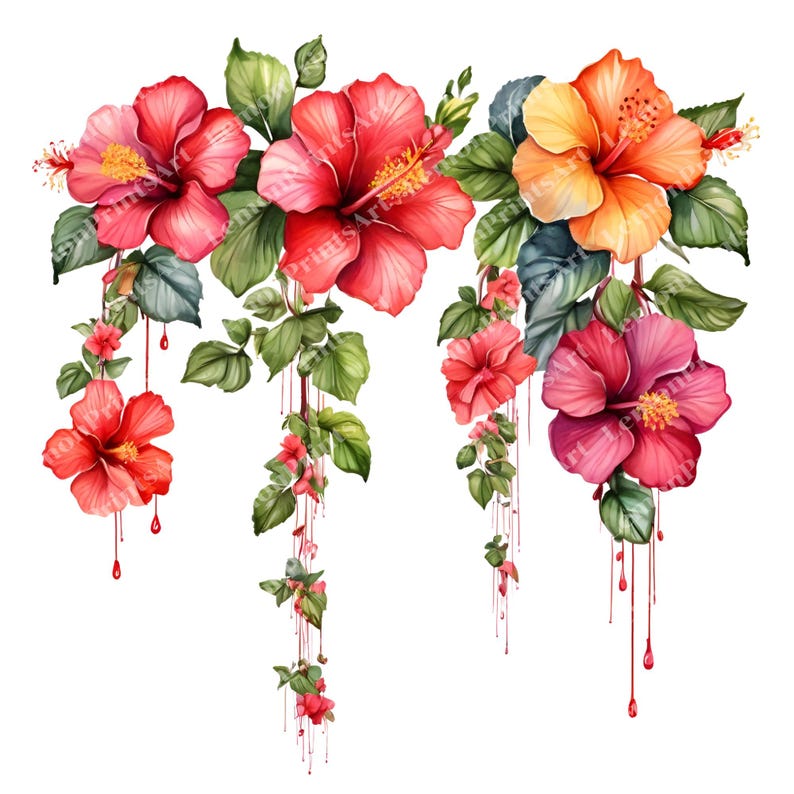 64 Hibiscus Flower 2 Clipart, Tropical Flower Graphics, High Quality ...