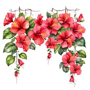 64 Hibiscus Flower #2 Clipart, Tropical Flower Graphics, High Quality ...