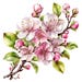26 Apple Blossom Clipart, Watercolor Apple Blossom Flower, High Quality ...